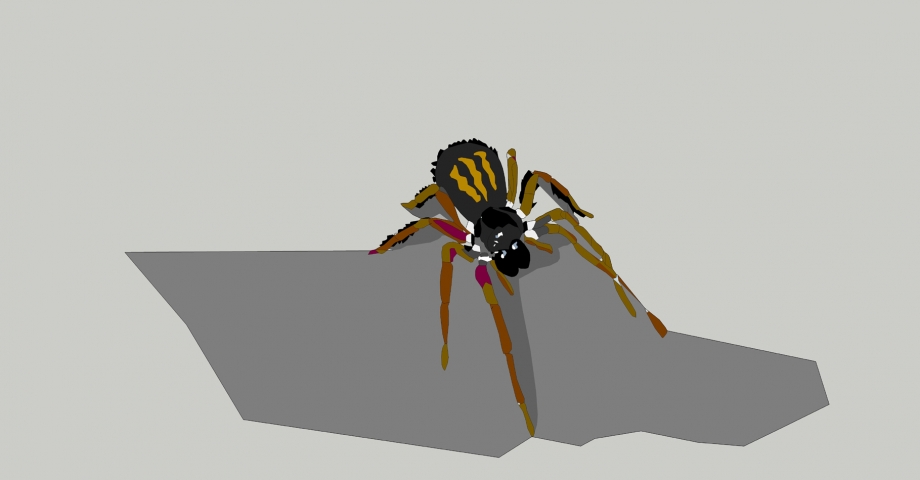 The Characters - Little Urban Fox and Friends